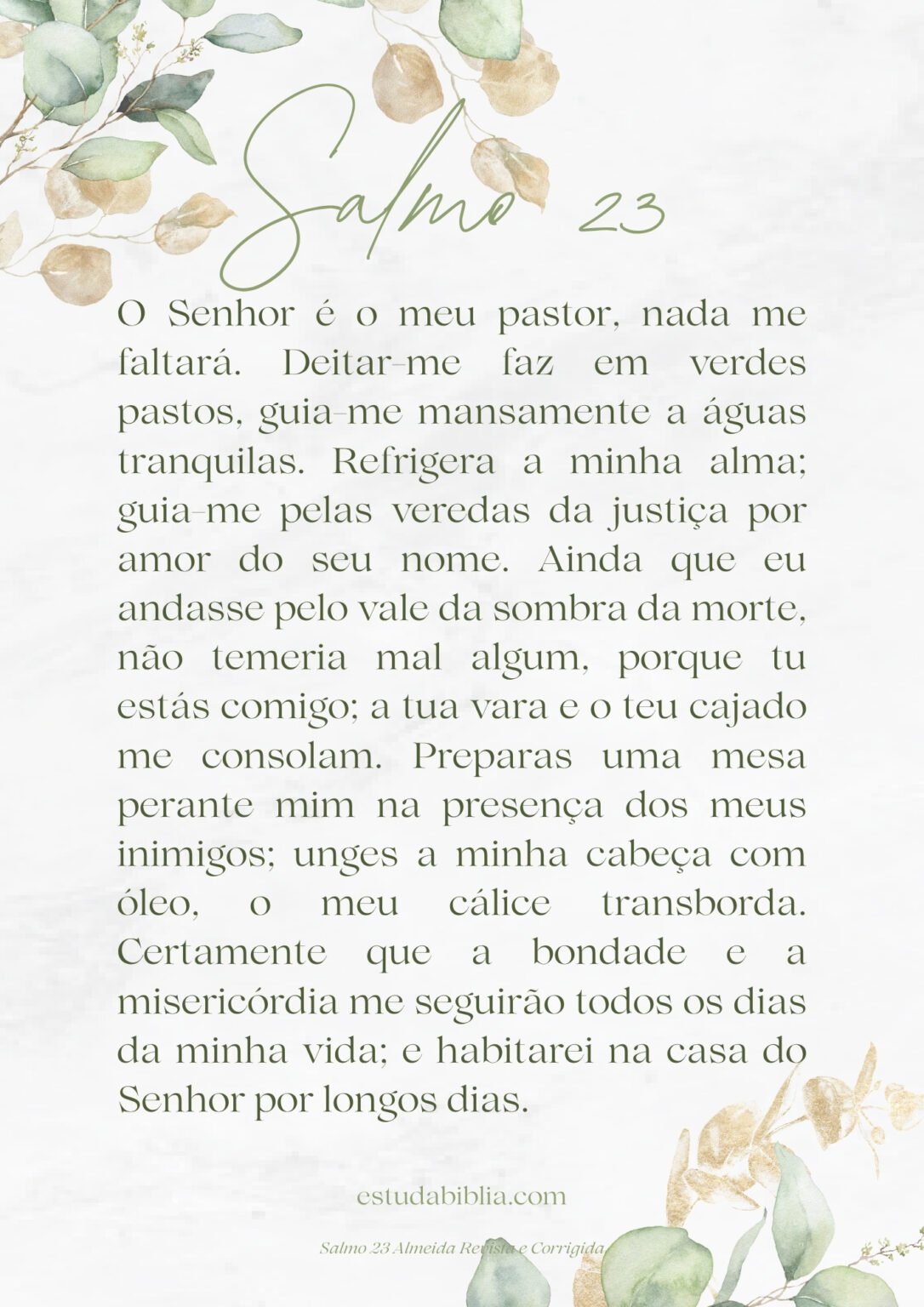 Salmo 23 Completo com Letras Grandes | Estuda Bíblia